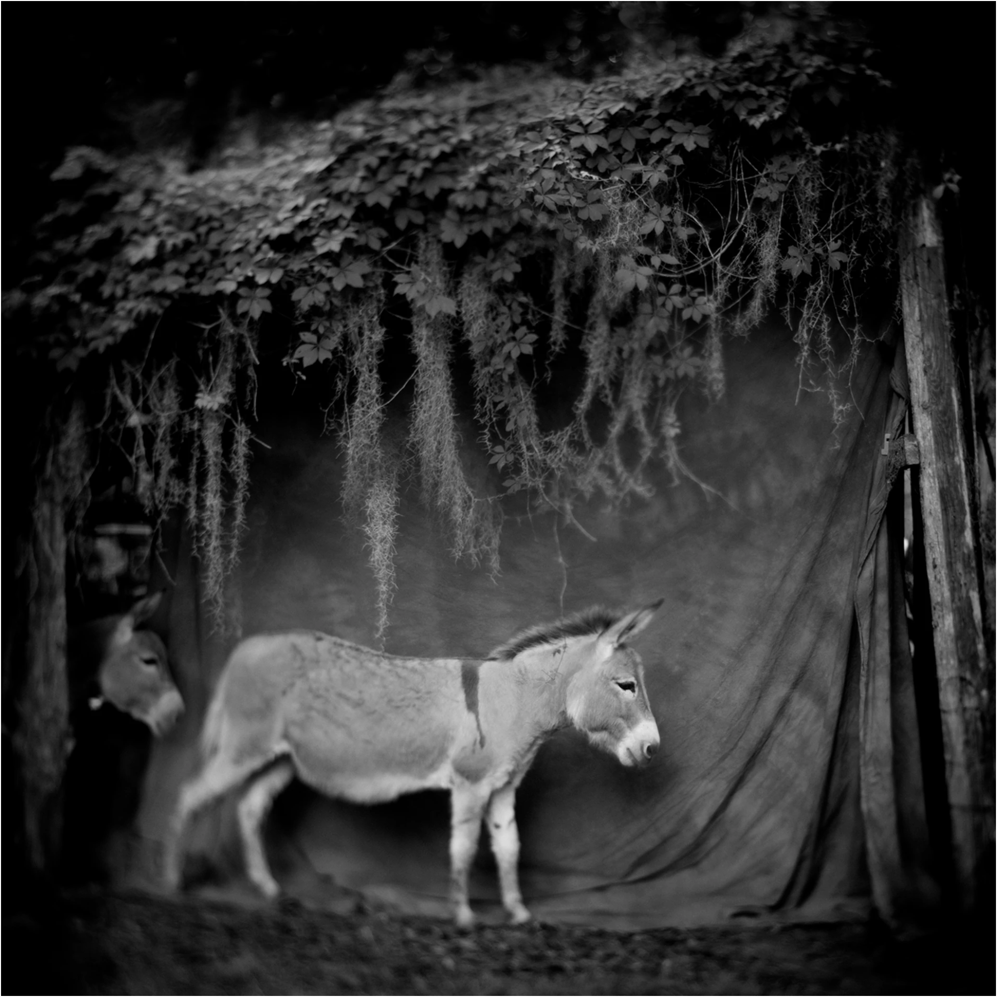 Artist Talk: Creative Curation and Collaboration - Atlanta Photography ...